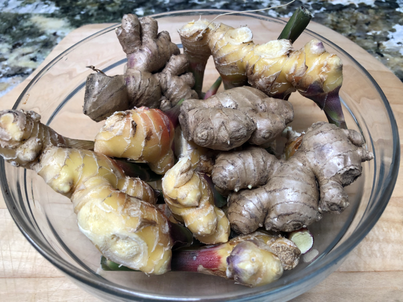Edible Ginger Root / Ginger Rhizomes / Zingiber. – Simply Moroccan Cuisine